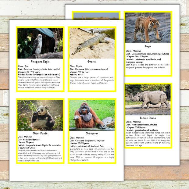 Montessori Asian Animals Toob 3 Part Cards [EDITABLE] – Pinay ...