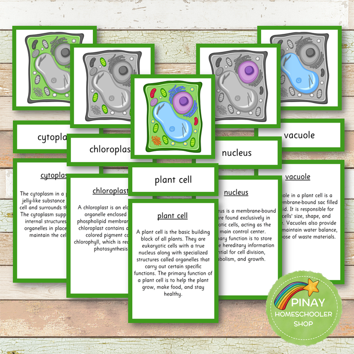 Parts of a Plant Cell Montessori 3 Part Cards | 4 Part Cards – Pinay ...