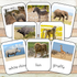 Montessori South Africa Toob 3 Part Cards [EDITABLE] – Pinay ...