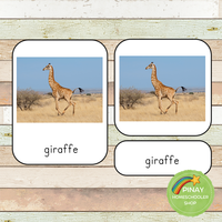 Montessori South Africa Toob 3 Part Cards [EDITABLE] – Pinay ...