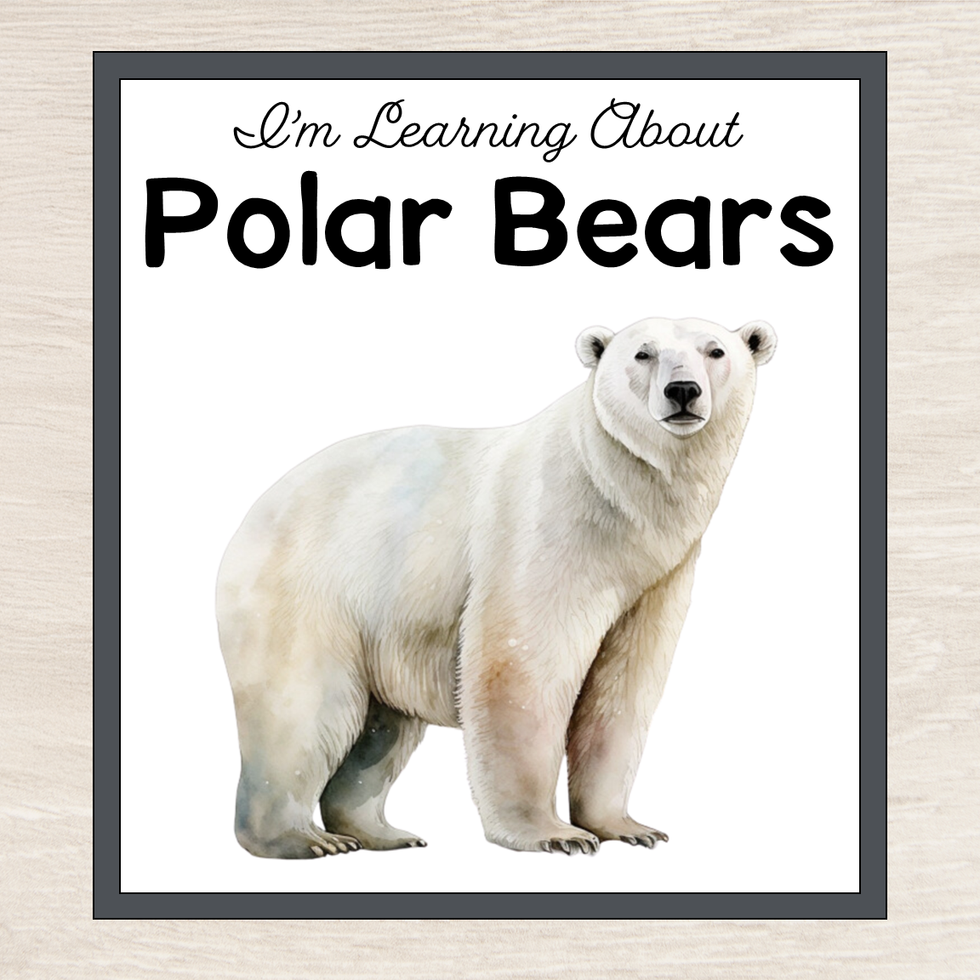 Learning About Polar Bears - Fact Cards and Photos – Pinay Homeschooler ...