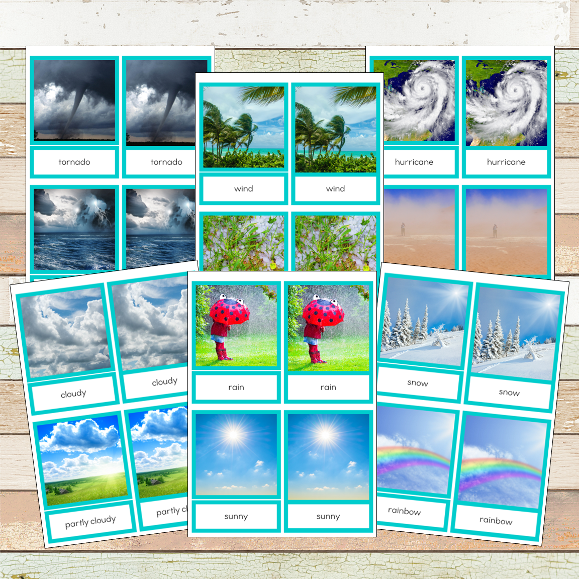 Weather Montessori 3 Part Cards and Definitions – Pinay Homeschooler Shop