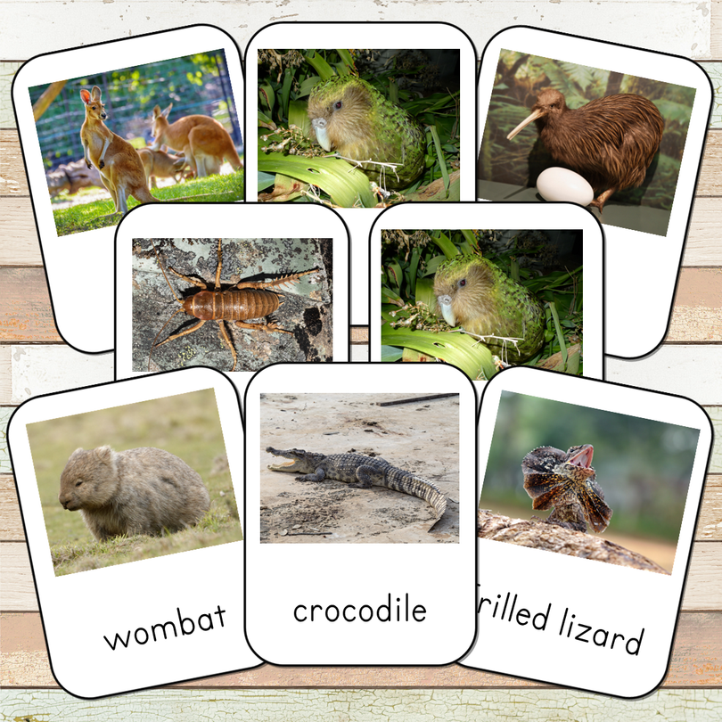 Montessori Australian Continent Animals Toob 3 Part Cards – Pinay ...