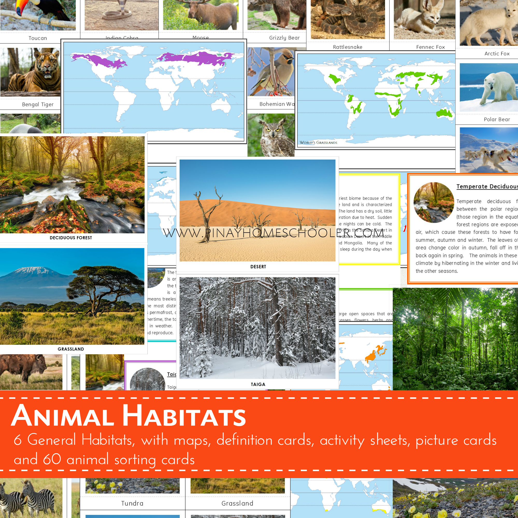 Habitats Definition Building Urban Science To Achieve The New Urban