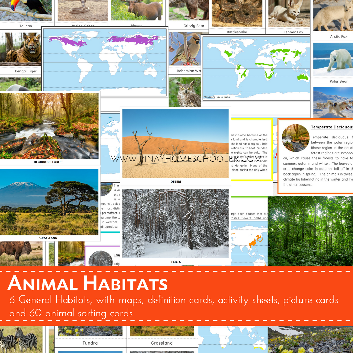 Montessori Inspired Animal World Habitats Learning Pack – Pinay ...
