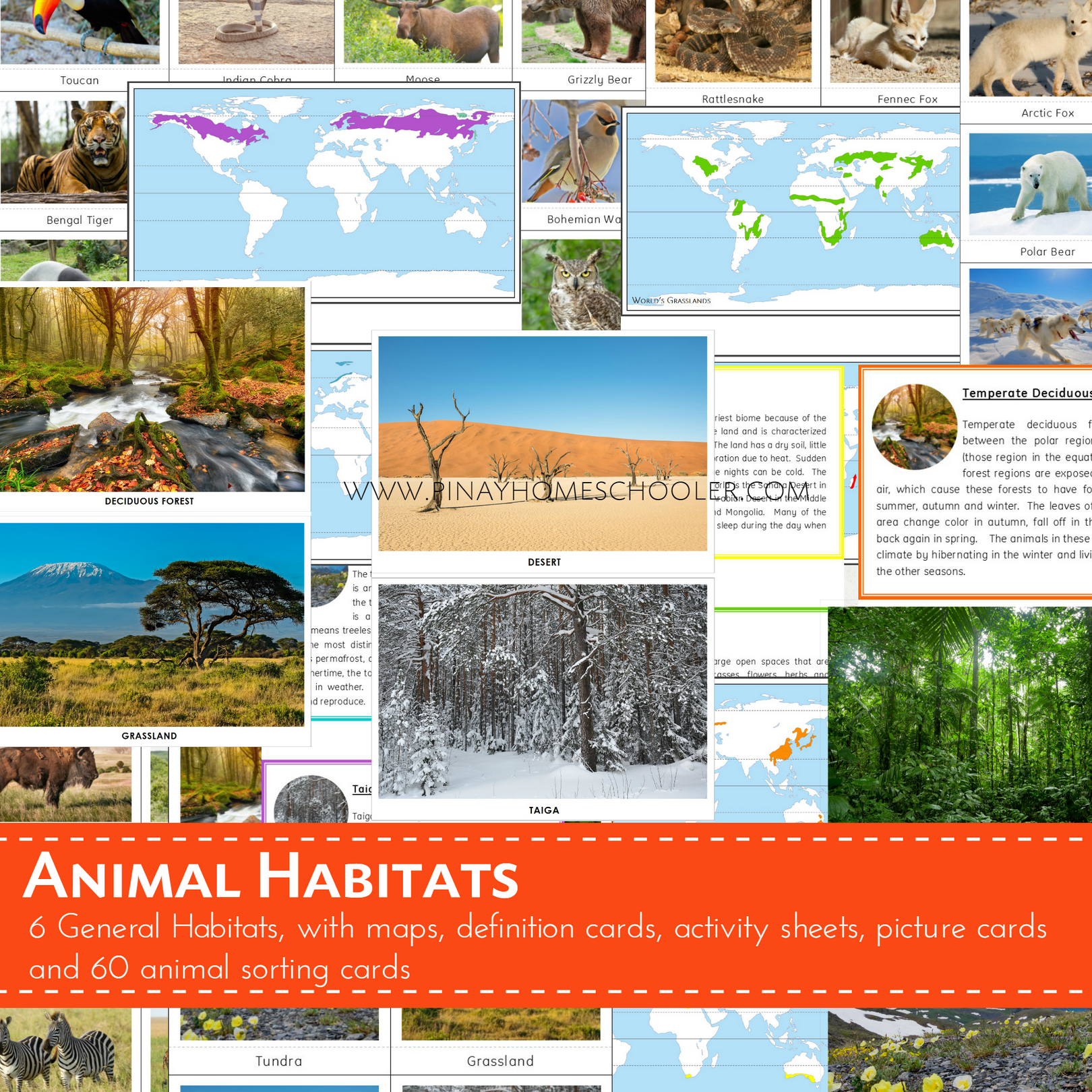 Montessori Inspired Animal World Habitats Learning Pack – Pinay ...