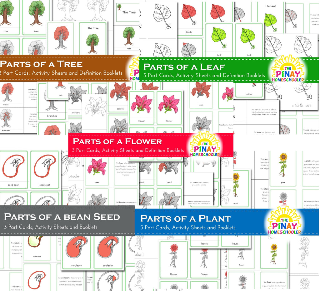 Botany - Plant Bundle Pack Montessori Cards – Pinay Homeschooler Shop