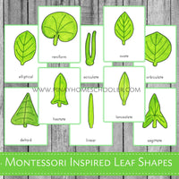 Leaf Shapes Montessori 3 Part Cards – Pinay Homeschooler Shop