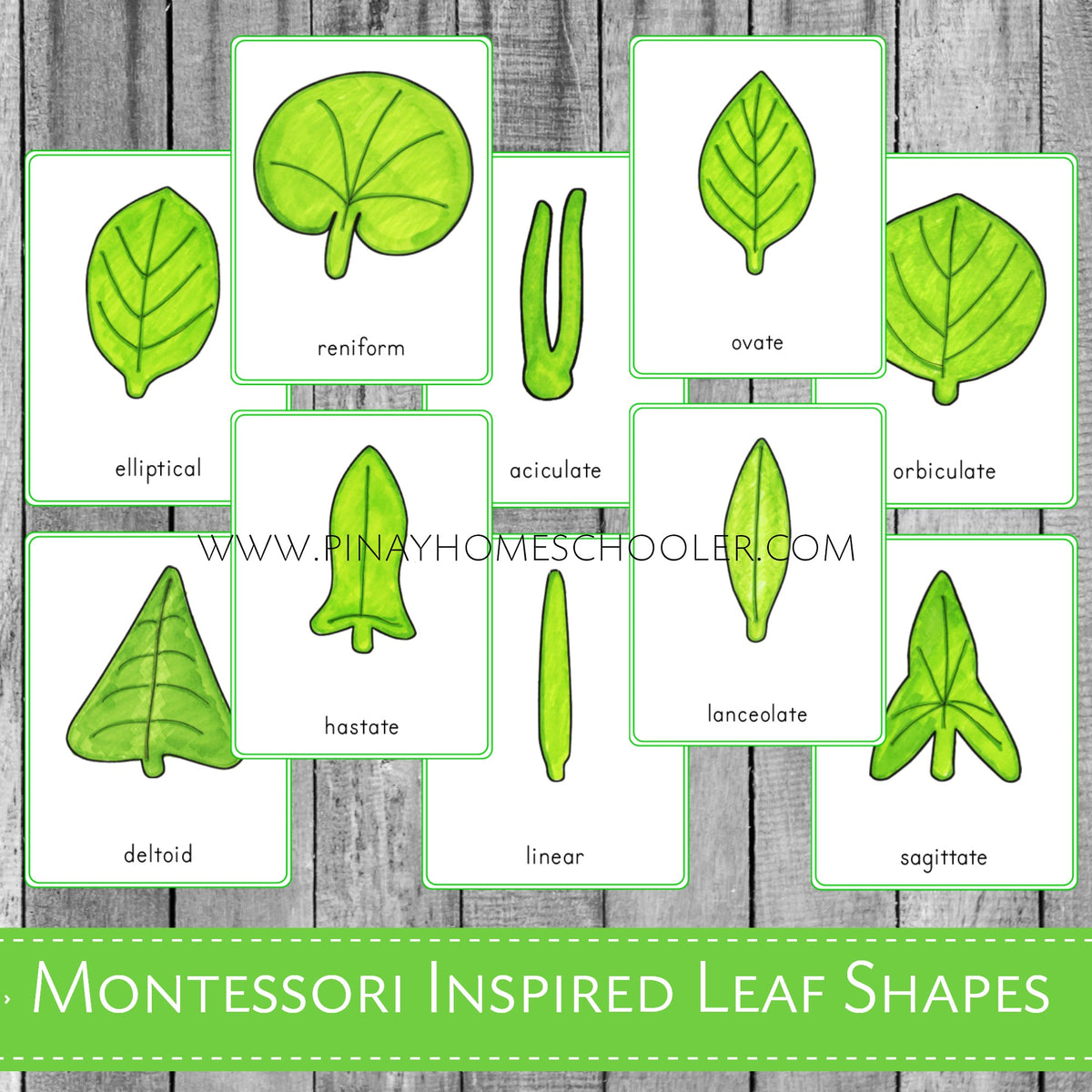 Leaf Shapes Montessori 3 Part Cards – Pinay Homeschooler Shop