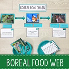 Boreal Forest Biome Food Web and Food Chains Learning Pack – Pinay ...