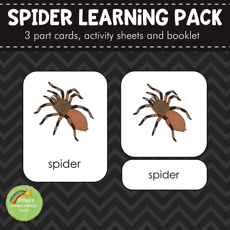 Montessori Parts of a Spider 3 Part Cards – Pinay Homeschooler Shop