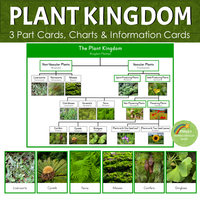 Montessori Plant Kingdom – Pinay Homeschooler Shop