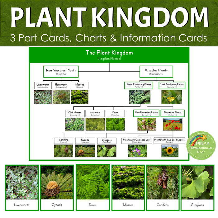 Montessori 3 Part Card – Pinay Homeschooler Shop