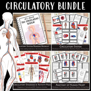 Circulatory System Bundle Pack – Pinay Homeschooler Shop