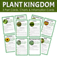 Montessori Plant Kingdom – Pinay Homeschooler Shop