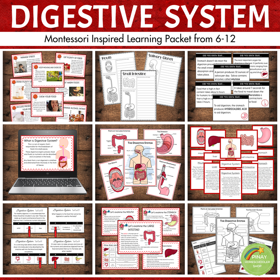 Montessori Inspired Digestive System Learning Packet – Pinay ...