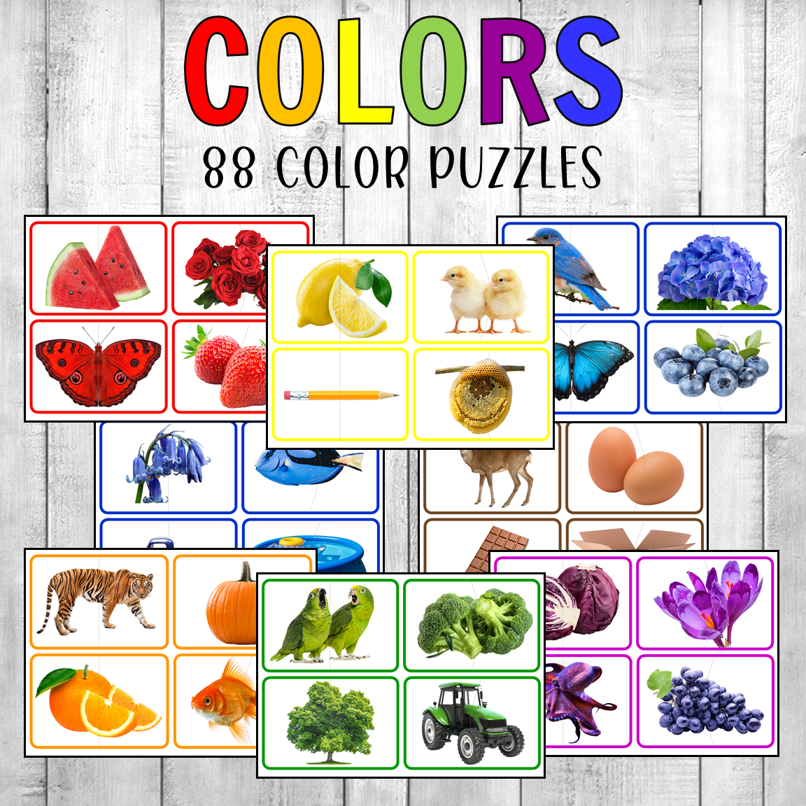 Montessori Color Matching Puzzles Real Photos – Pinay Homeschooler Shop