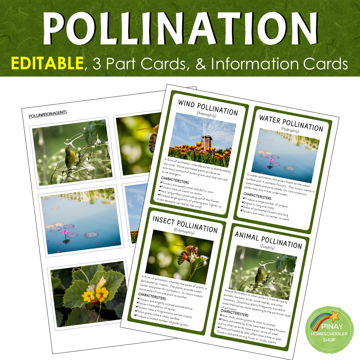 Pollination Agents (EDITABLE) – Pinay Homeschooler Shop