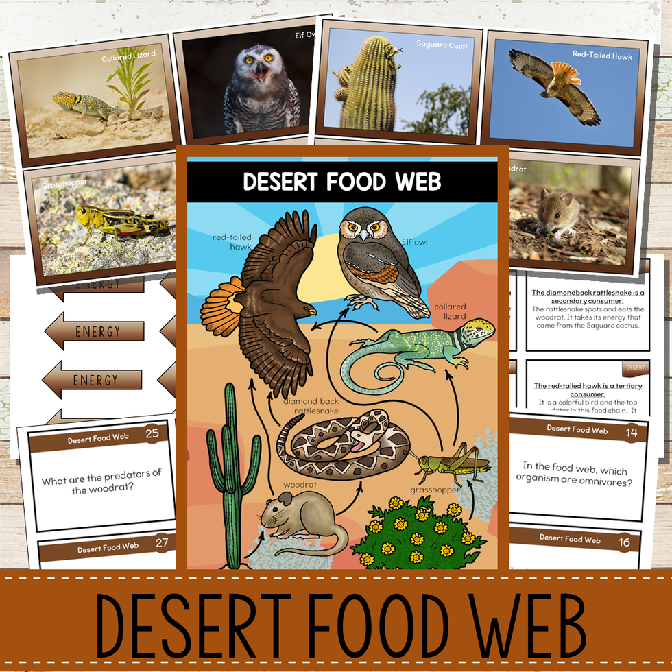 Desert Biome Food Web and Food Chains Learning Pack – Pinay ...