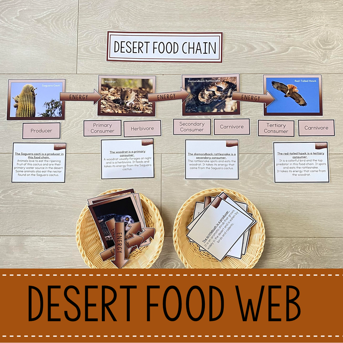 Desert Biome Food Web and Food Chains Learning Pack – Pinay ...