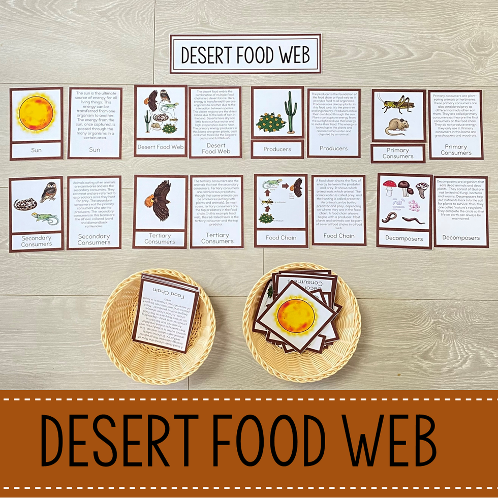 Desert Biome Food Web and Food Chains Learning Pack – Pinay ...