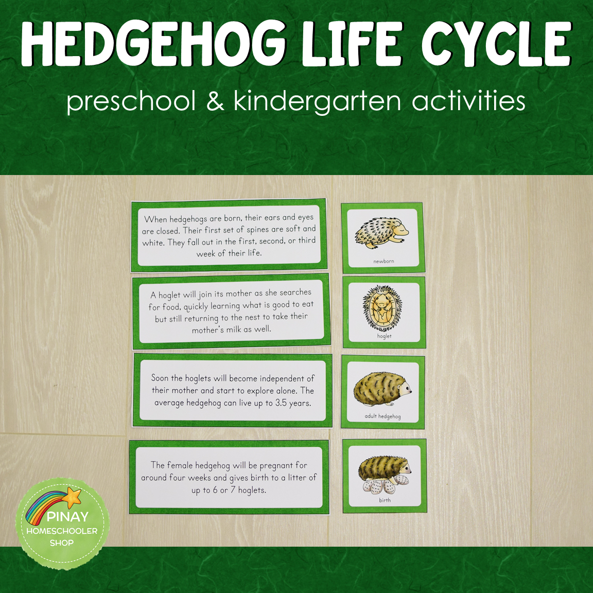 Hedgehog Life Cycle Set - Preschool & Kindergarten Science Centers ...