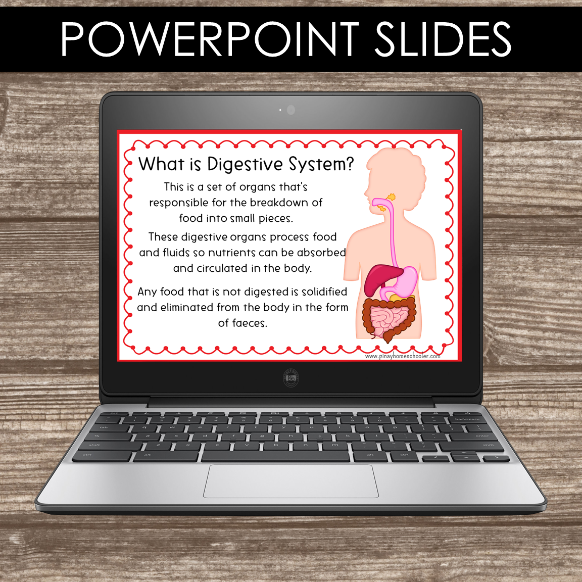 Montessori Inspired Digestive System Learning Packet – Pinay ...