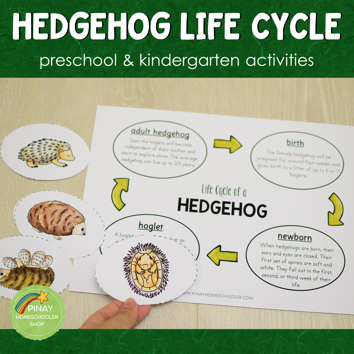 Hedgehog Life Cycle Set - Preschool & Kindergarten Science Centers ...