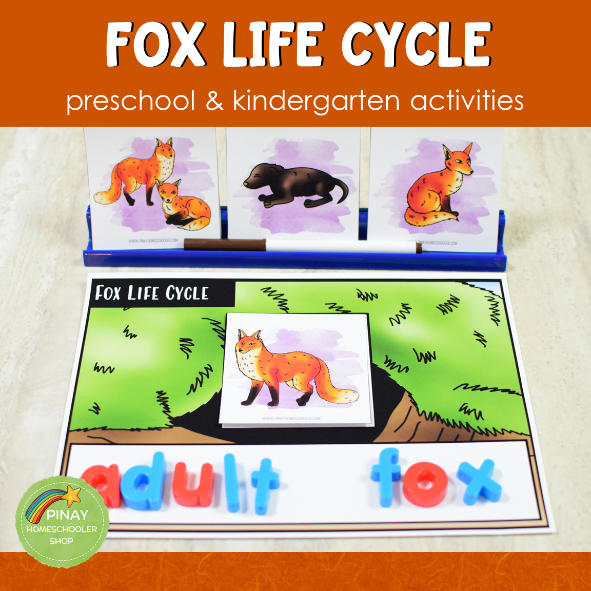 Life Cycle of a Fox Montessori Inspired – Pinay Homeschooler Shop