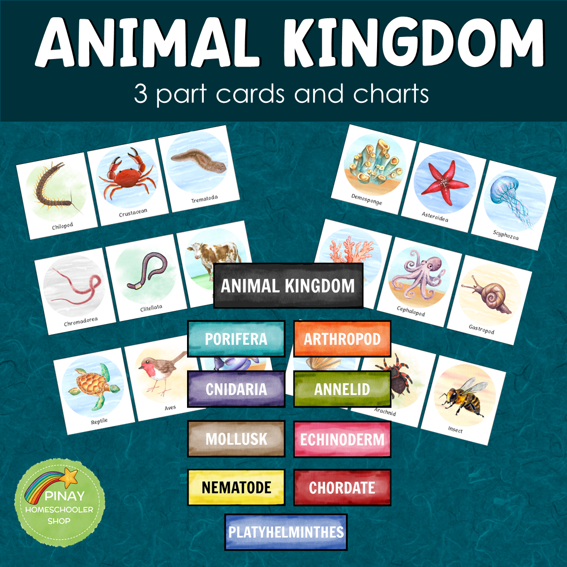 Animal Kingdom 3 Part Cards and Charts – Pinay Homeschooler Shop