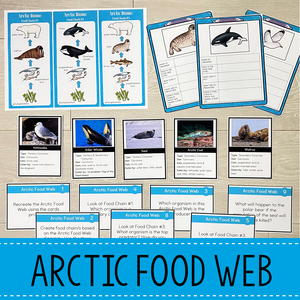 Food Chains and Food Webs Animal Habitat BUNDLE – Pinay Homeschooler Shop