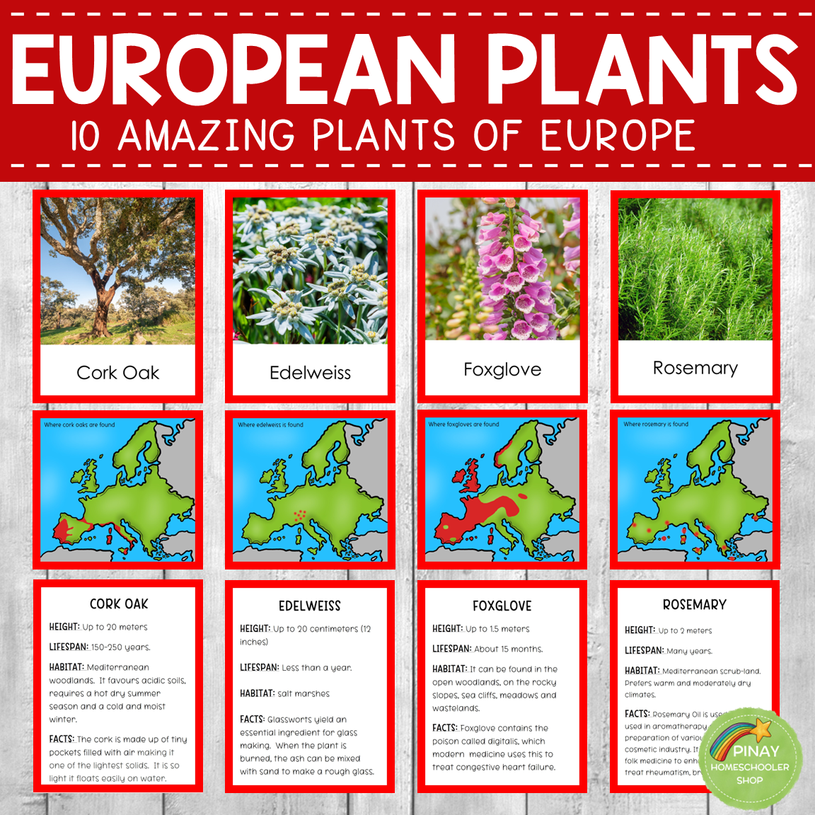 Plants of Europe Montessori 3 Part Cards – Pinay Homeschooler Shop