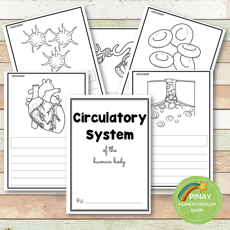 Circulatory System Montessori Learning Pack – Pinay Homeschooler Shop